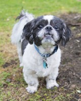 Smashwords – Interview with Anna Scanlon