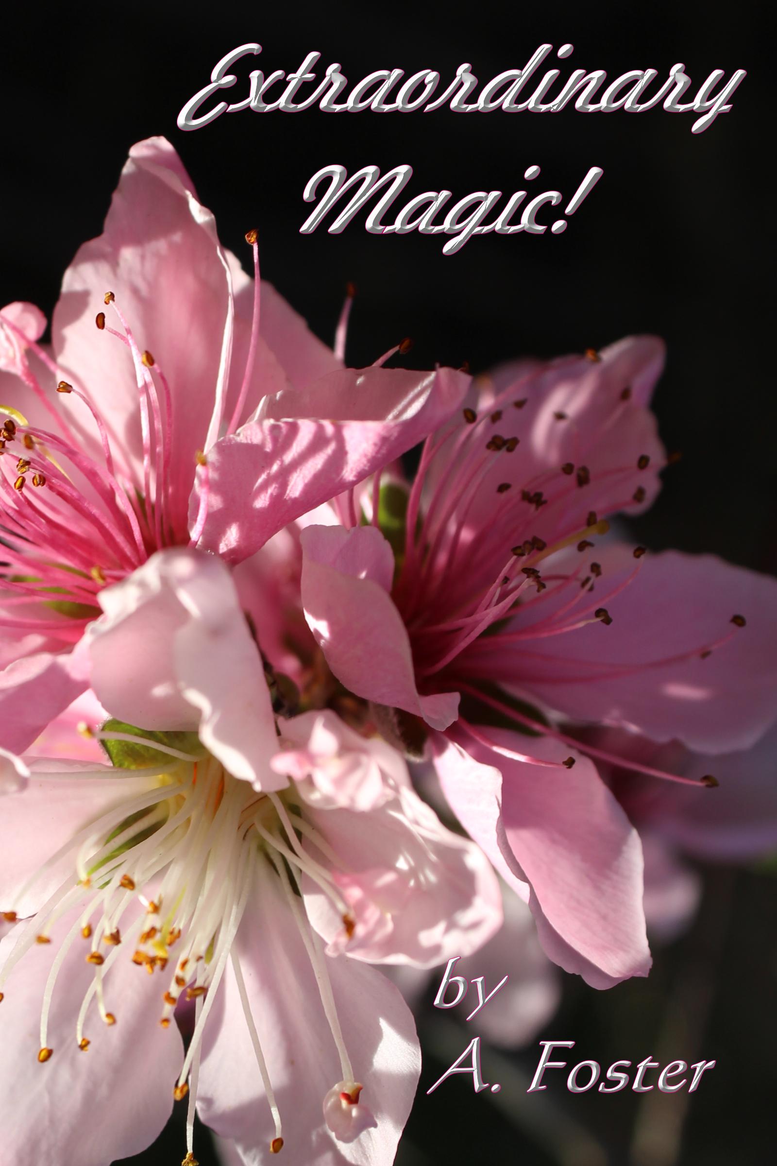 Smashwords – Extraordinary Magic – a book by A. Foster
