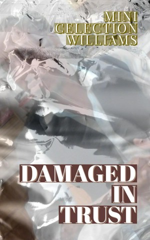 Smashwords – Damaged In Trust