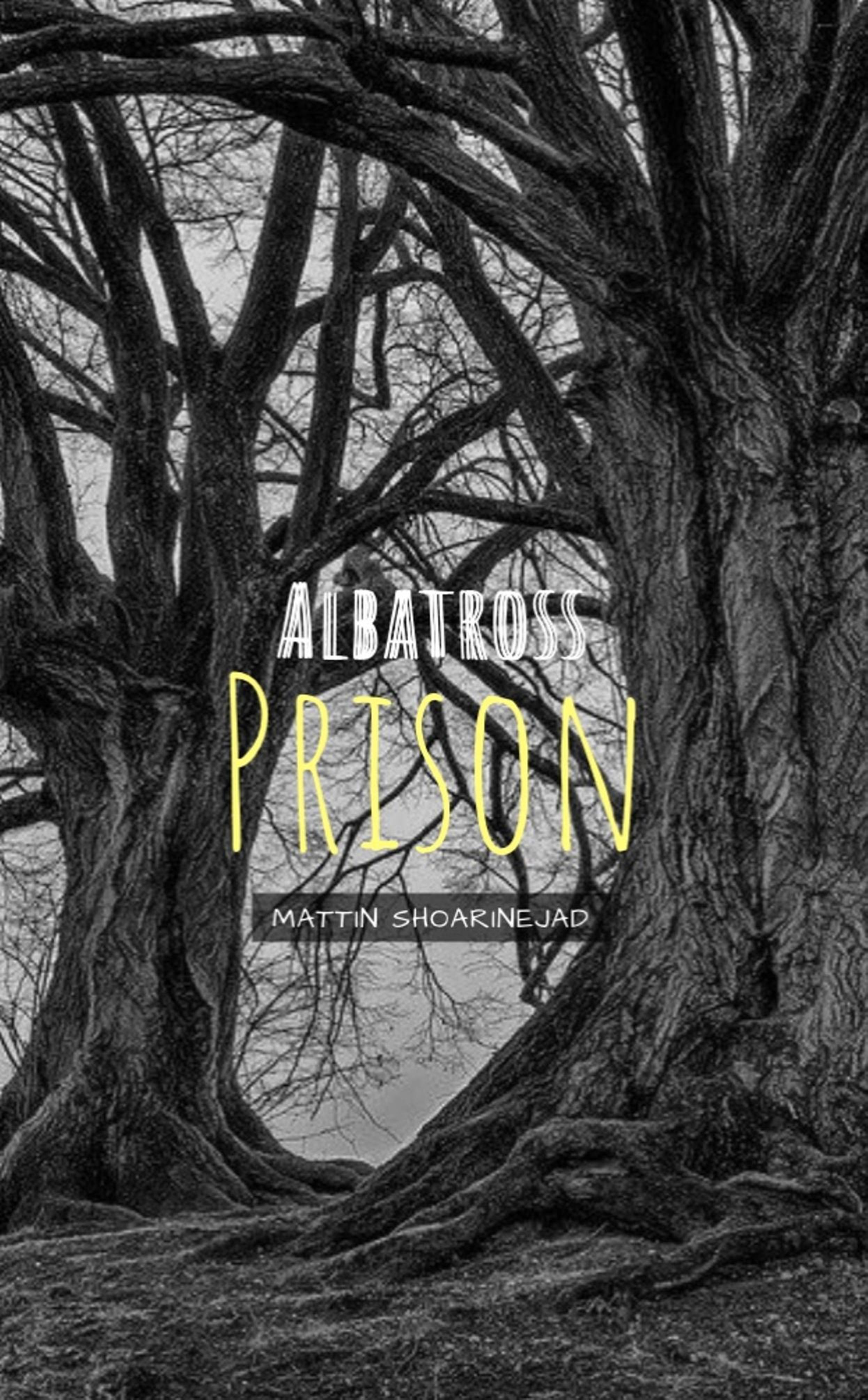 Smashwords – Albatross Prison: The Story – a book by Mattin Shoarinejad