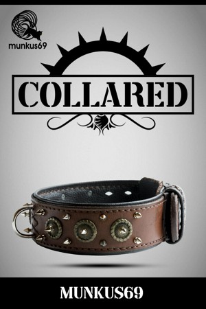 Smashwords – Collared – Forced to Breed by Ancient Magic