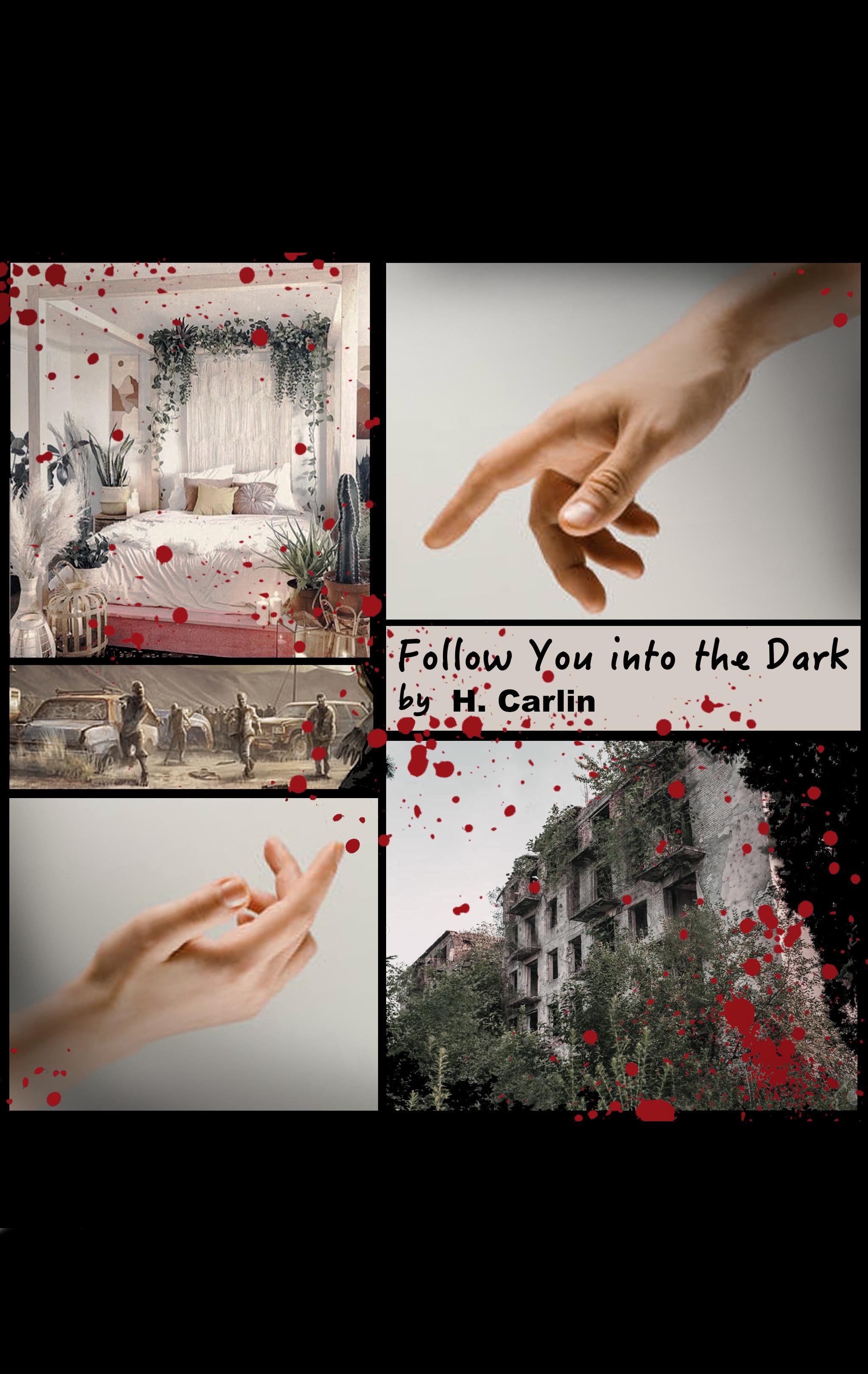 Smashwords – Follow You into the Dark – a book by H Carlin