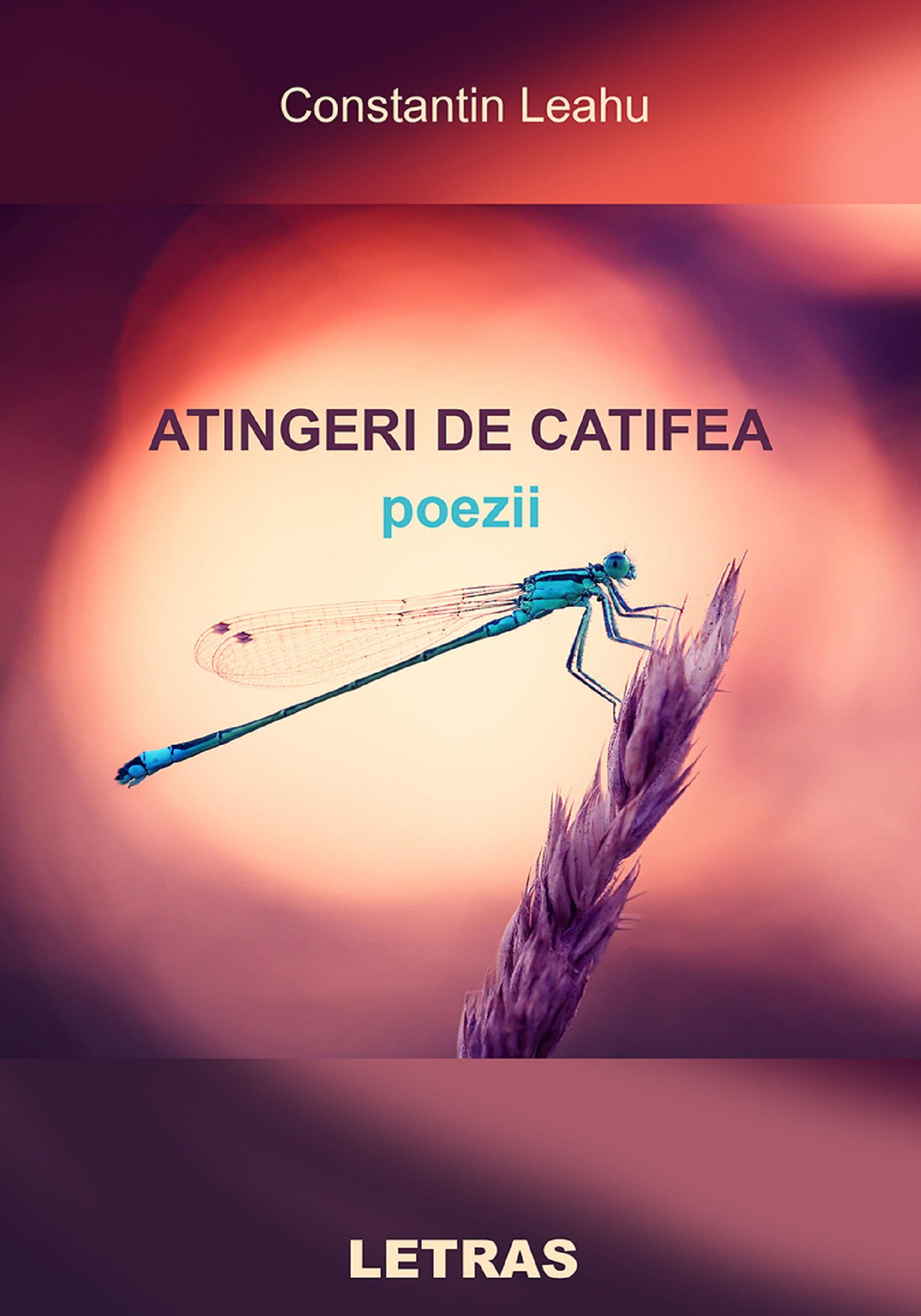 Smashwords – Atingeri de catifea – a book by Leahu Constantin