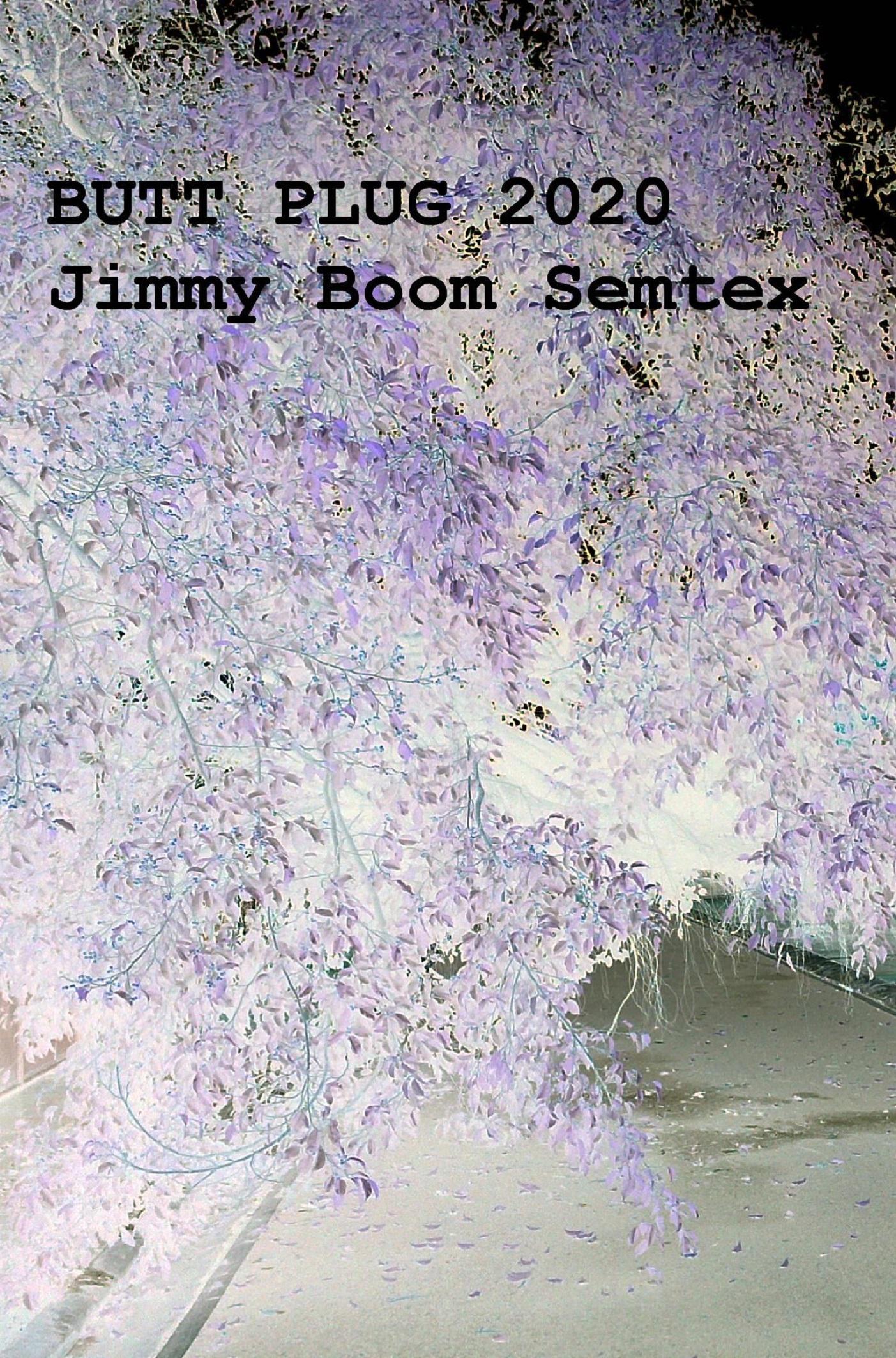 Smashwords – Butt Plug 2020 – a book by Jimmy Boom Semtex