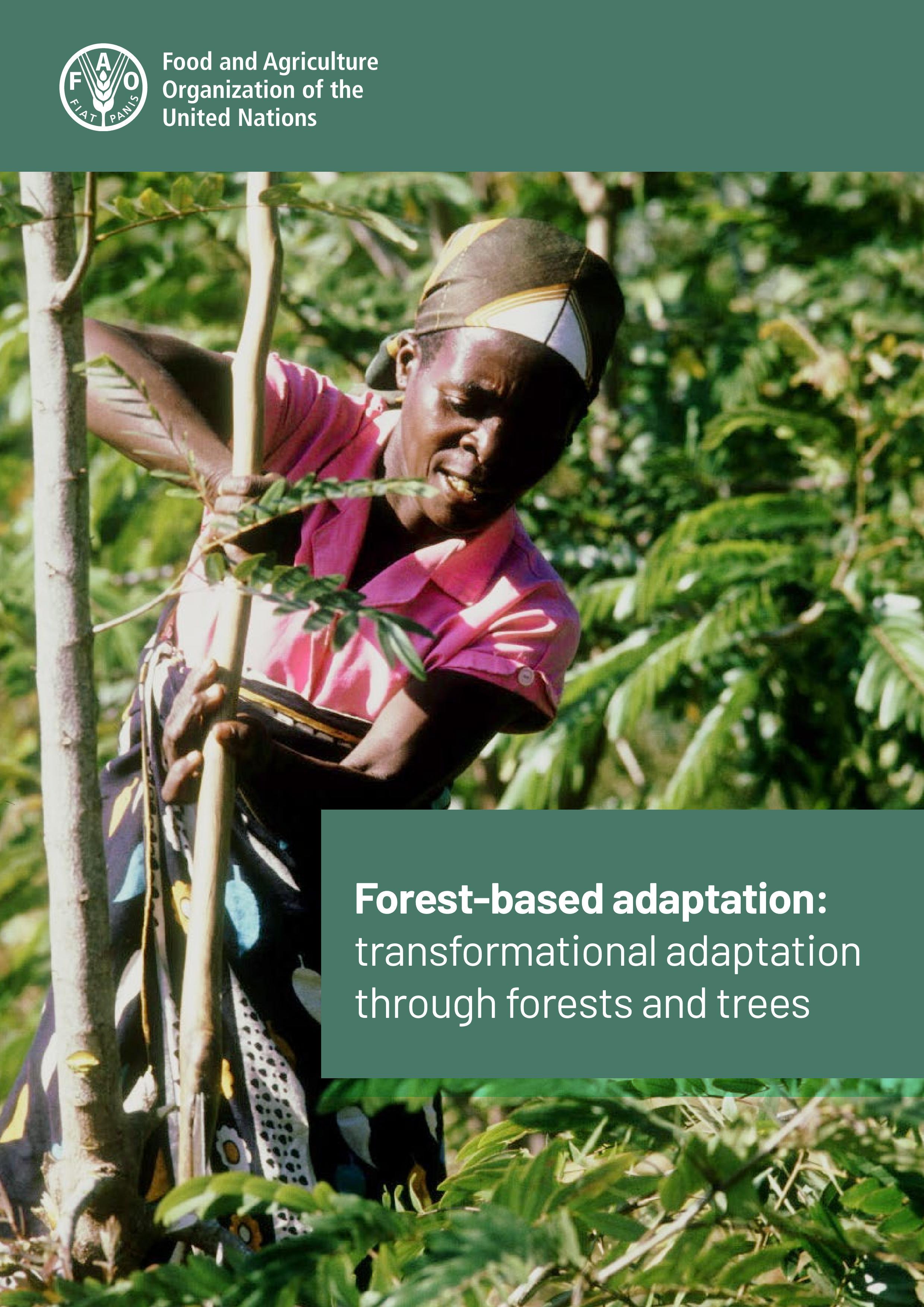Smashwords – Forest-Based Adaptation: Transformational Adaptation ...