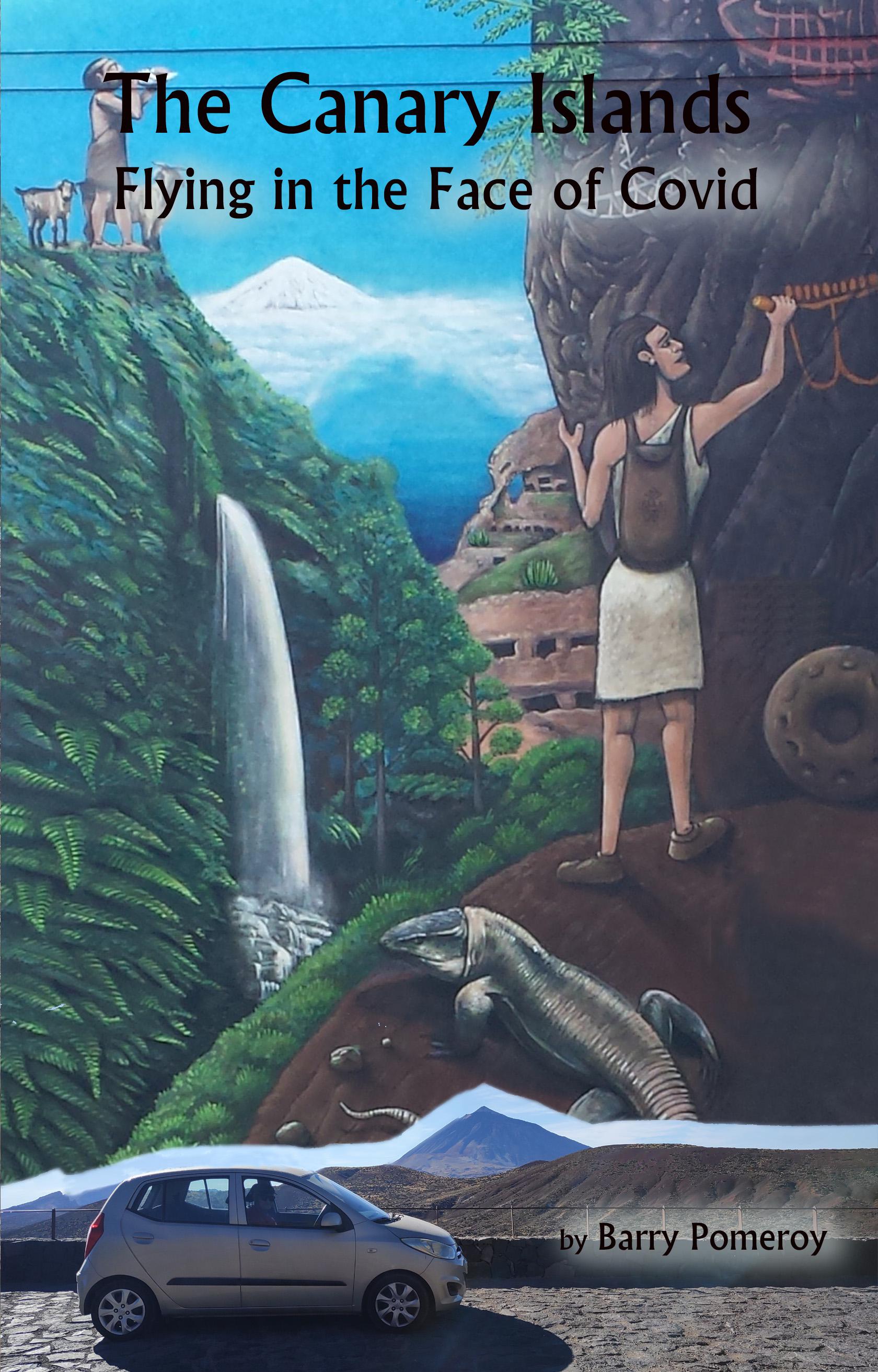 Smashwords – The Canary Islands: Flying in the Face of Covid – a book ...