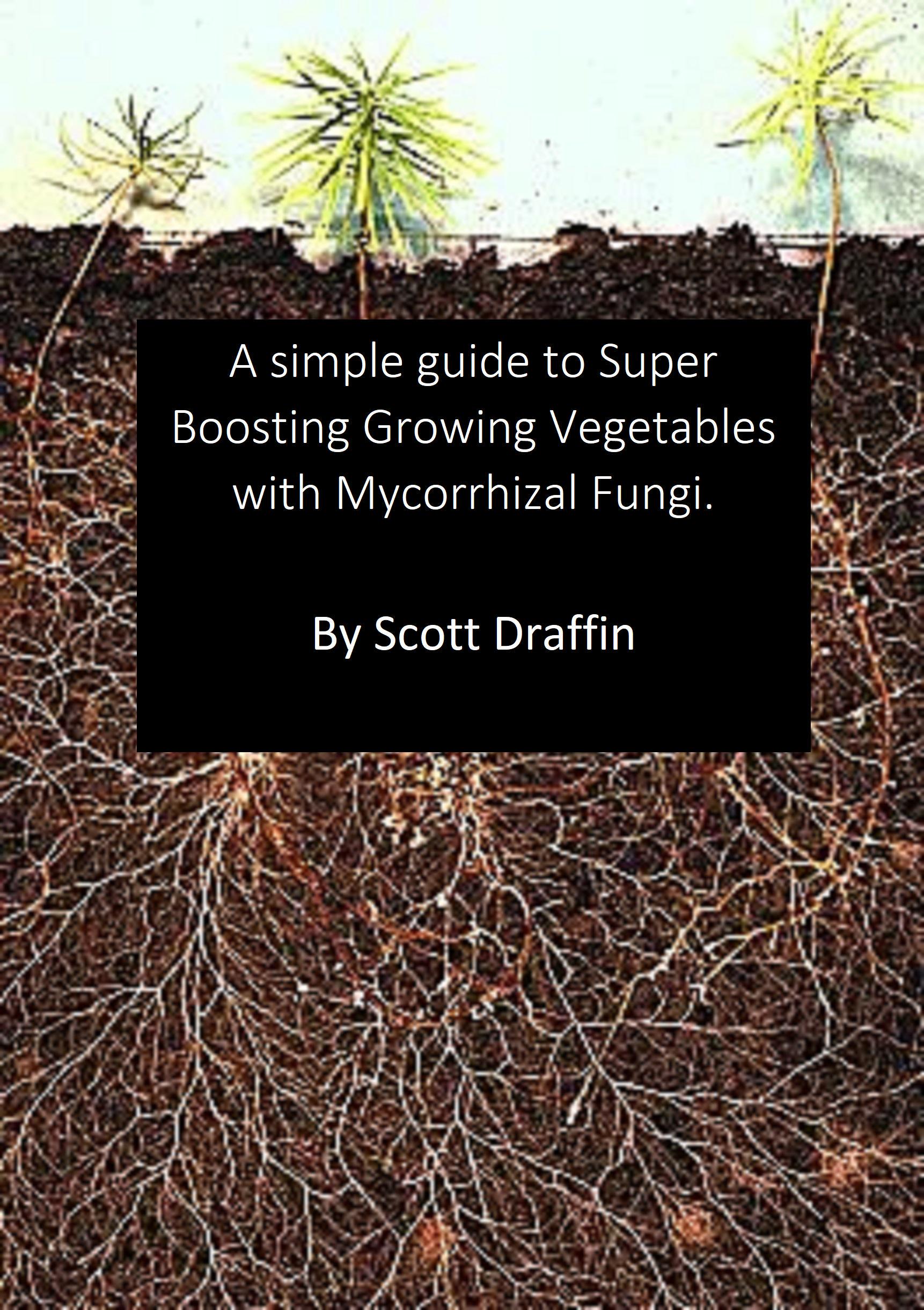 Smashwords – A Simple Guide to Super Boosting Growing Vegetables with ...
