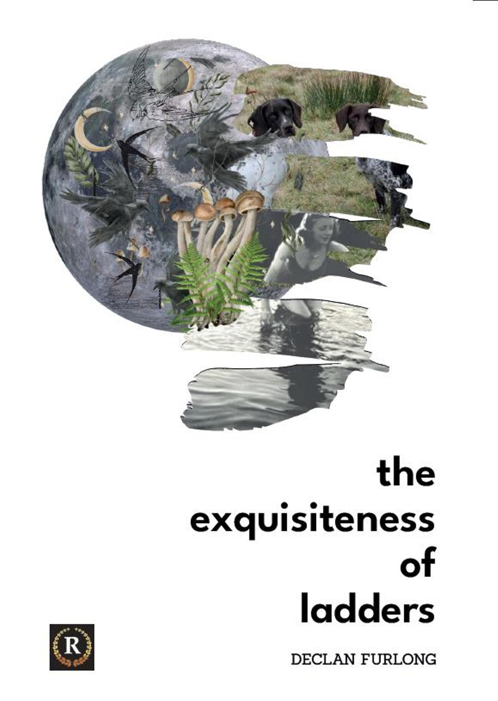 Smashwords – The Exquisiteness of Ladders – a book by Declan Furlong