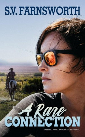Smashwords – A Rare Connection: Inspirational Romantic Suspense
