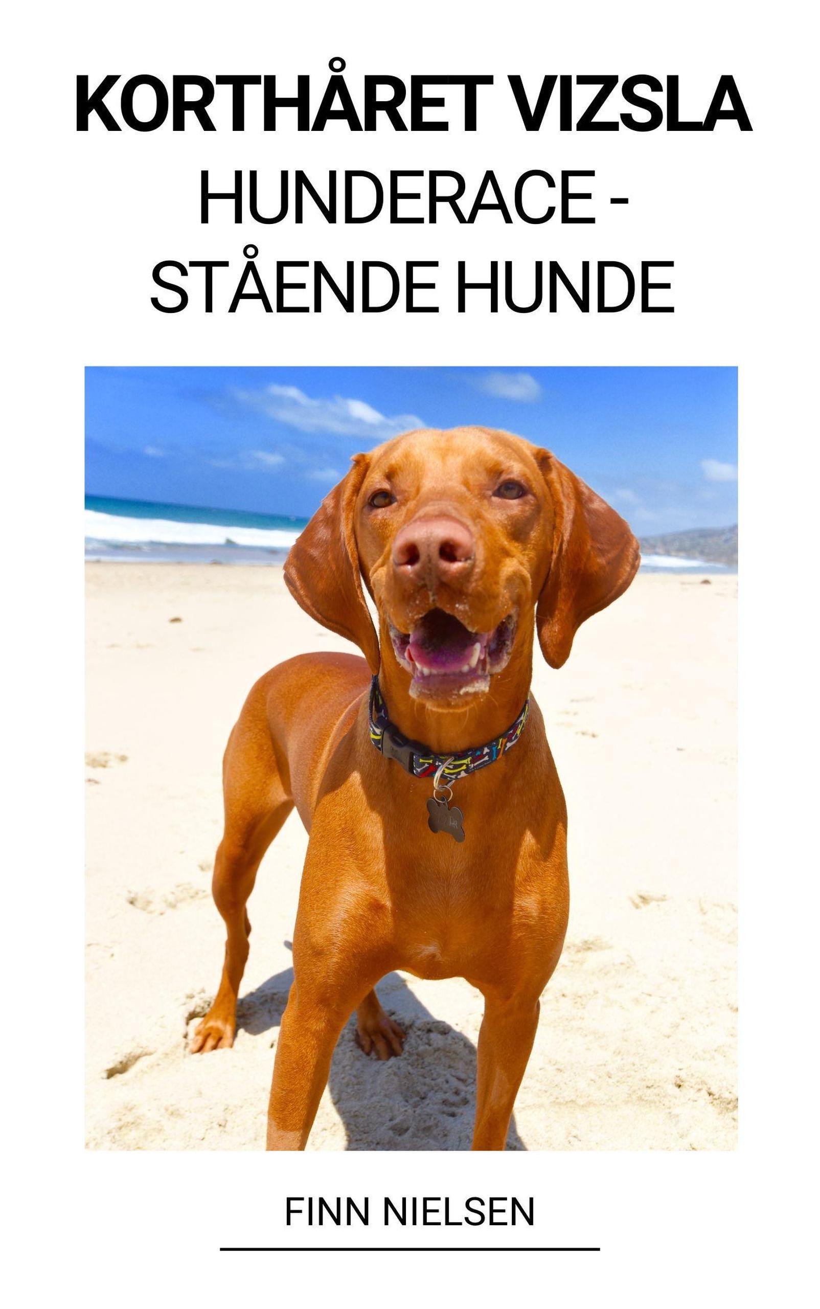 Smashwords – Korthåret Vizsla (Hunderace - Stående Hunde) – a book by ...