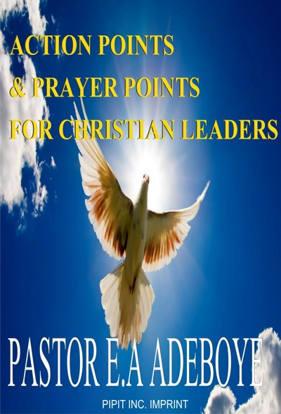 Smashwords – Action Points & Prayer Points For Christian Leaders – a ...