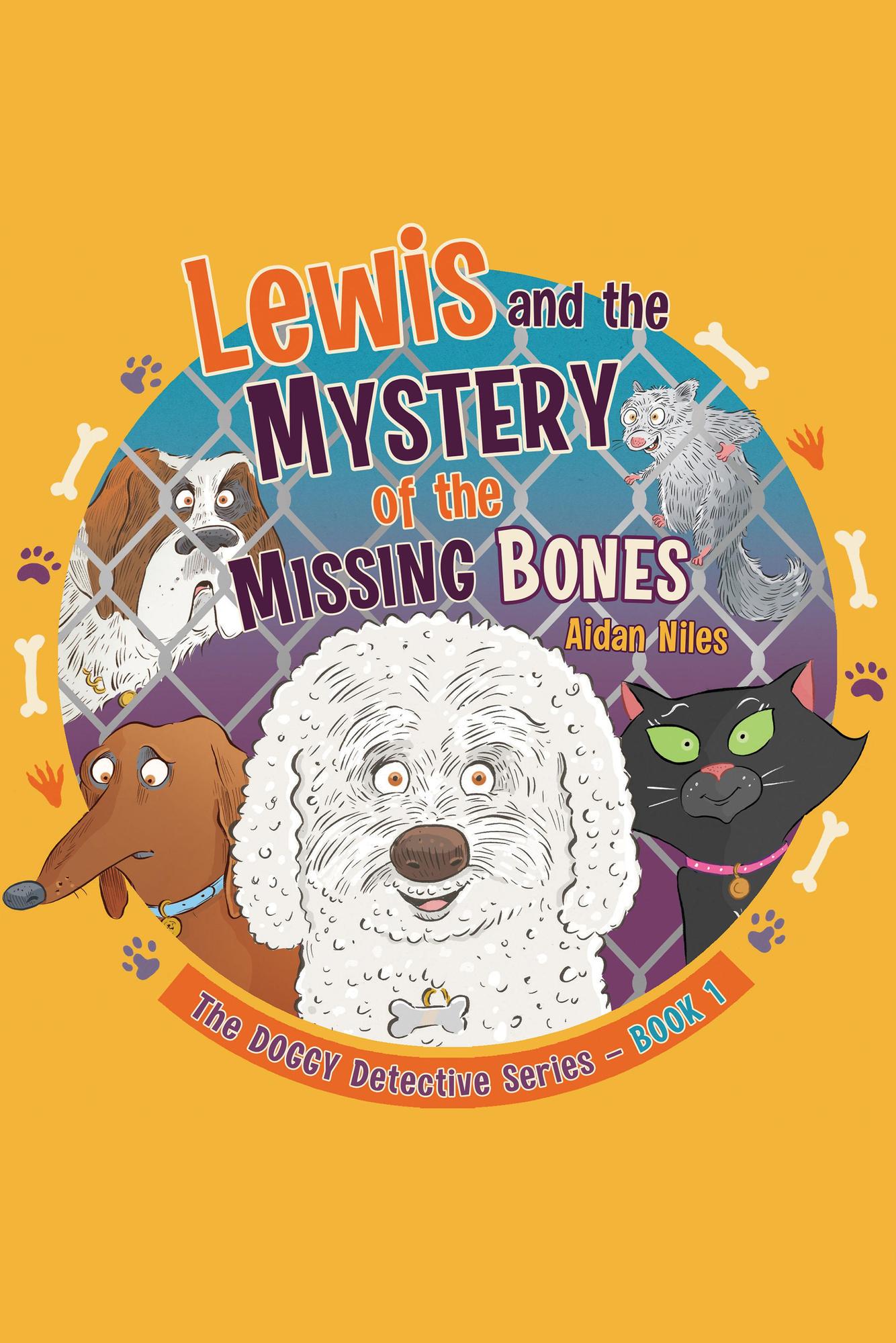 Smashwords – Lewis and the Mystery of the Missing Bones – a book by Aidan Niles