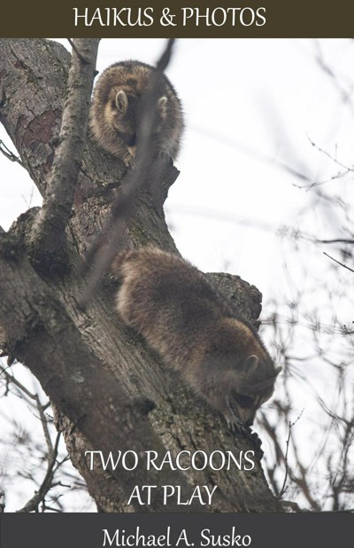 Smashwords – Haikus and Photos: Two Racoons at Play – a book by Michael A. Susko