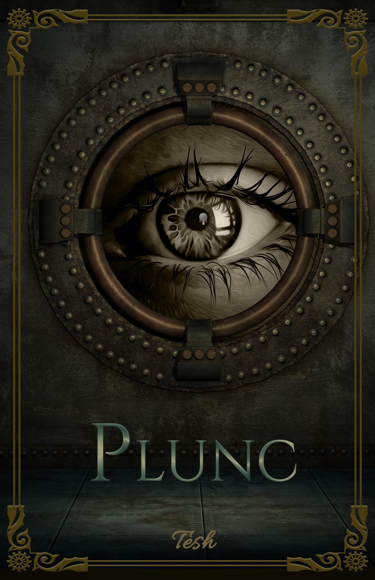 Smashwords – Plunc – a book by Domnul Tesh