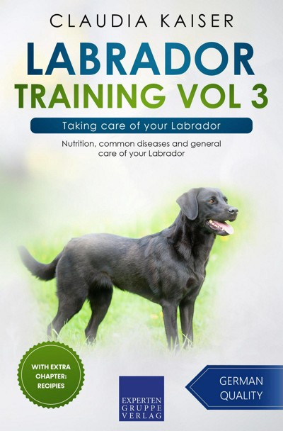Smashwords – Labrador Training Vol 3 – Taking care of your Labrador ...
