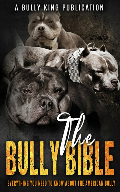 Smashwords – The Bully Bible: Everything You Need To Know About The ...
