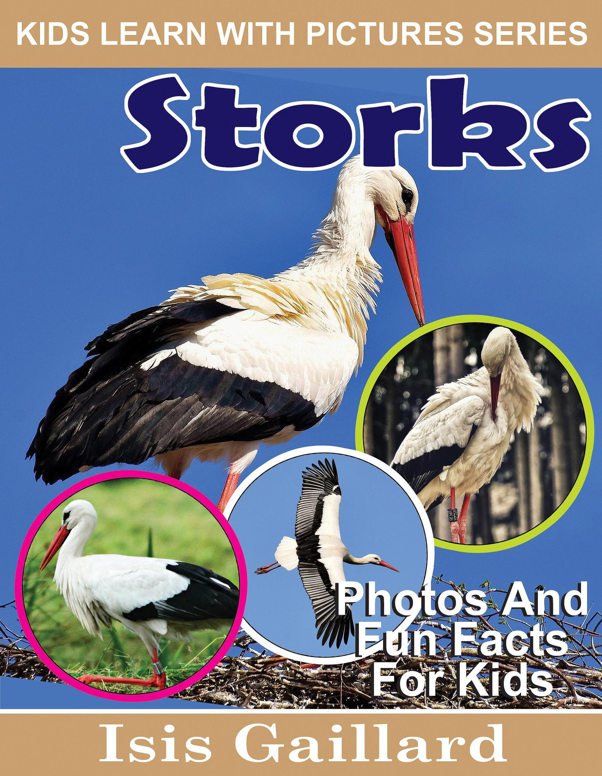 Smashwords – Storks Photos and Fun Facts for Kids – a book by Isis Gaillard