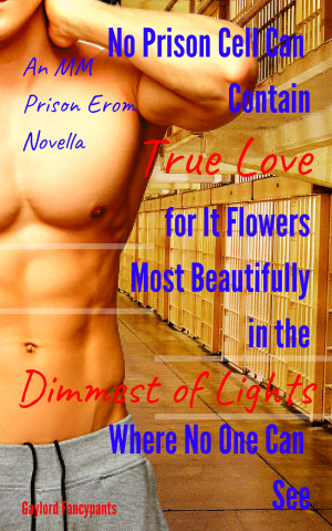 Smashwords – No Prison Cell Can Contain True Love for It Flowers Most Beautifully in the Dimmest ...