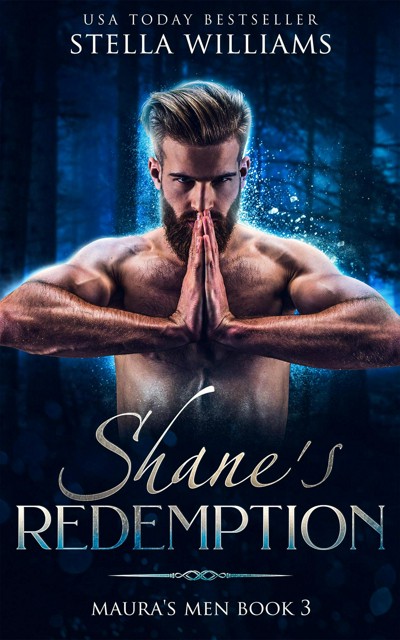 Smashwords – Shane's Redemption – a book by Stella Williams