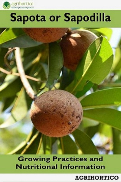 Smashwords – Sapota or Sapodilla: Growing Practices and Nutritional ...