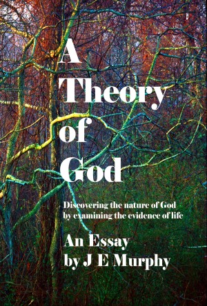Smashwords – A Theory of God: Discovering the nature of God by ...