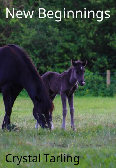 Smashwords – New Beginnings – a book by Crystal Tarling
