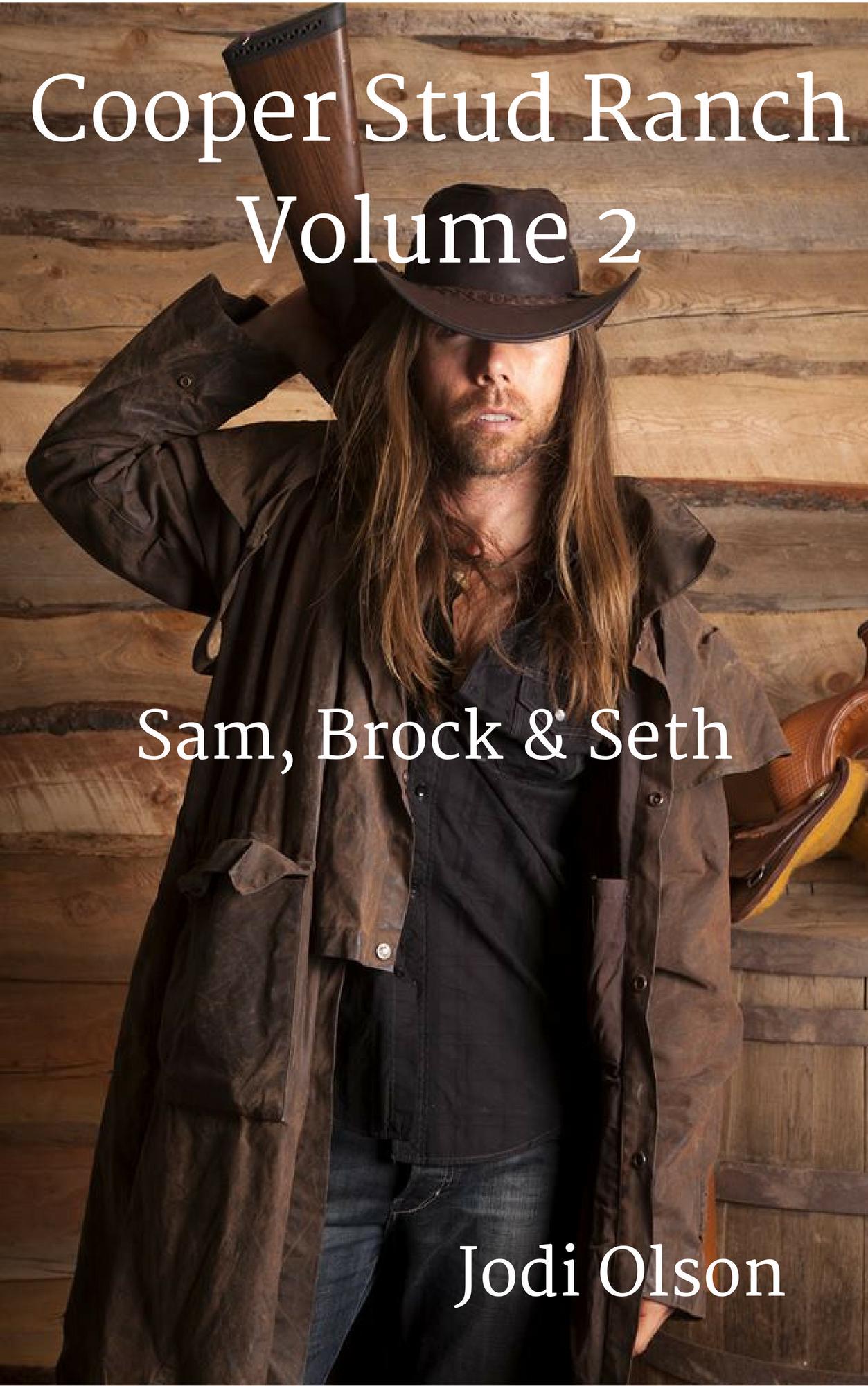 Smashwords – Sam, Brock & Seth – a book by Jodi Olson