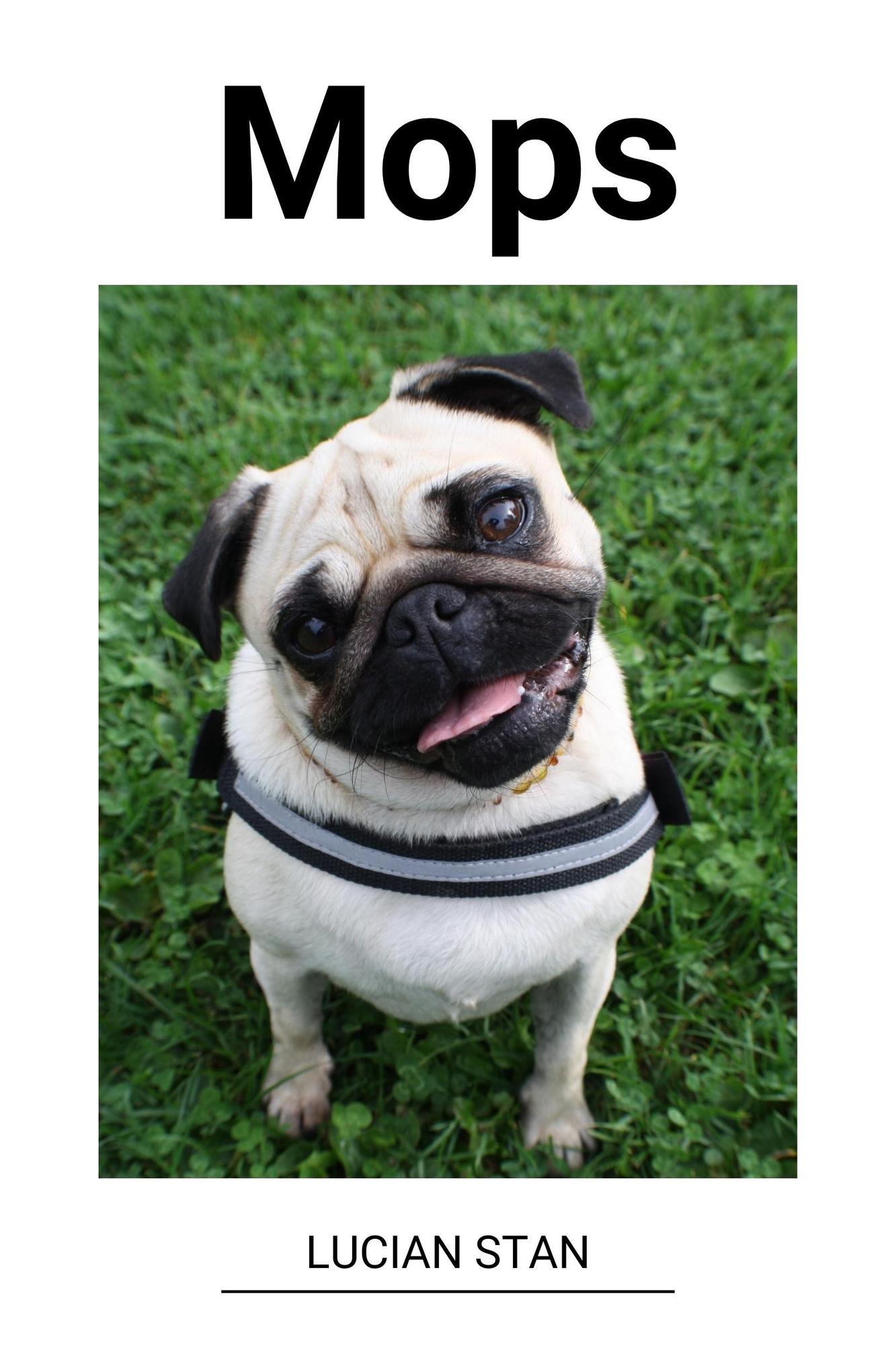 Smashwords – Mops – a book by Lucian Stan