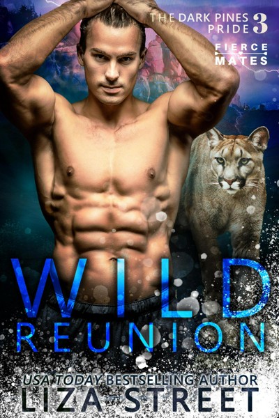Smashwords – Wild Reunion – a book by Liza Street