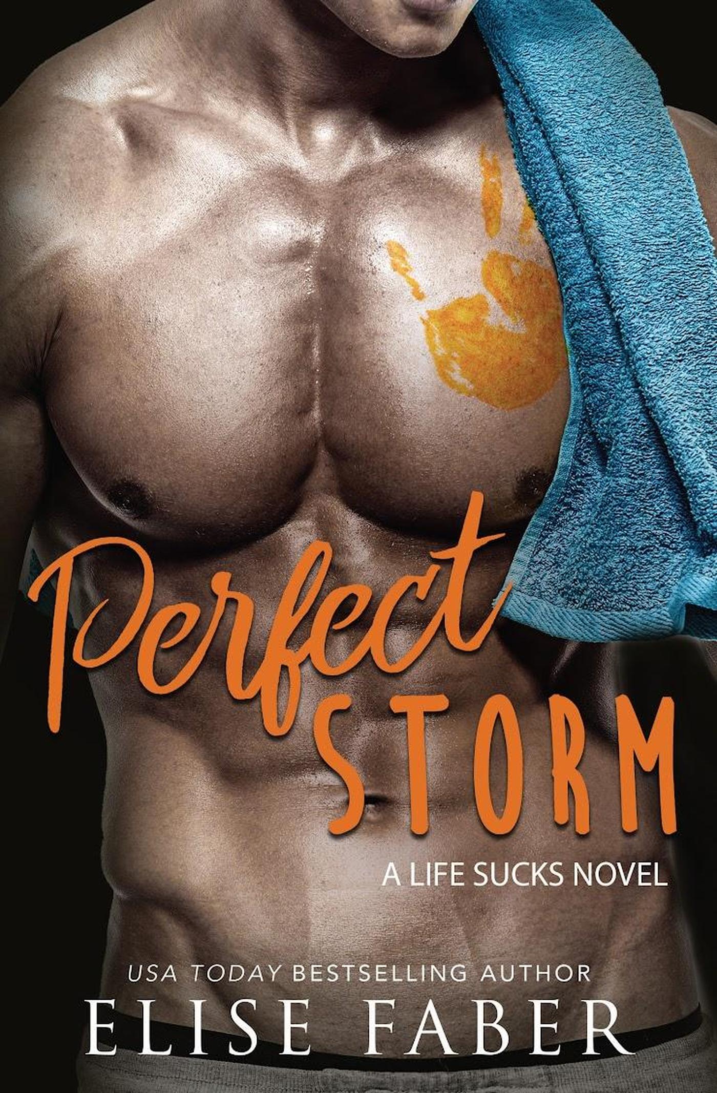 Smashwords – Perfect Storm – a book by Elise Faber