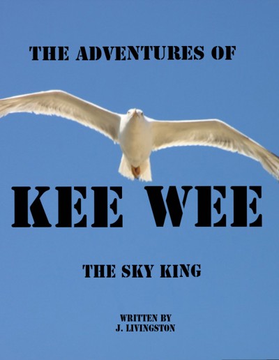 Smashwords – The Adventures Of Kee-Wee (The Sky King) – a book by J ...