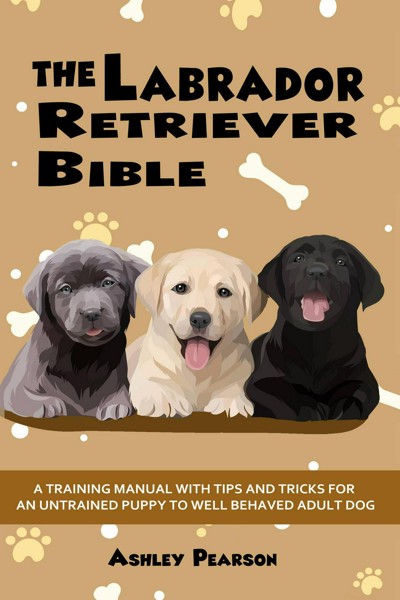 Smashwords – The Labrador Retriever Bible - A Training Manual With Tips ...