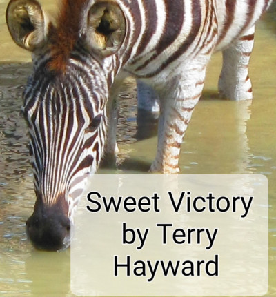 Smashwords – SWEET VICTORY – a book by Terry Hayward