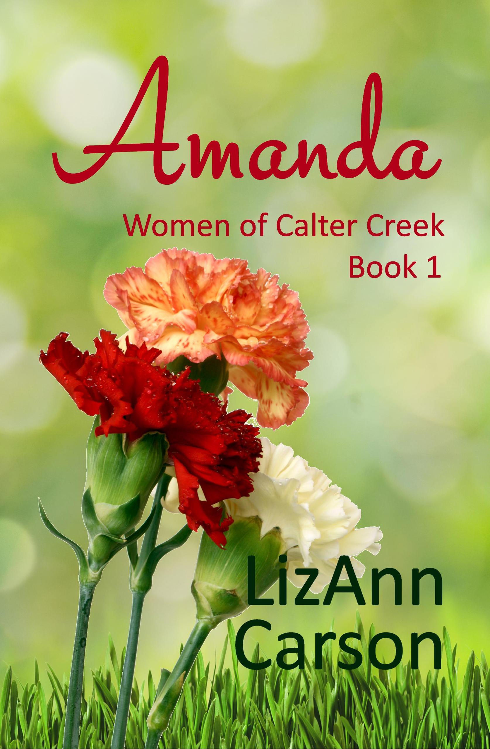 Smashwords – Amanda – a book by LizAnn Carson