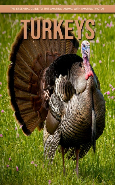 Smashwords – Turkeys: The Essential Guide to This Amazing Animal with ...