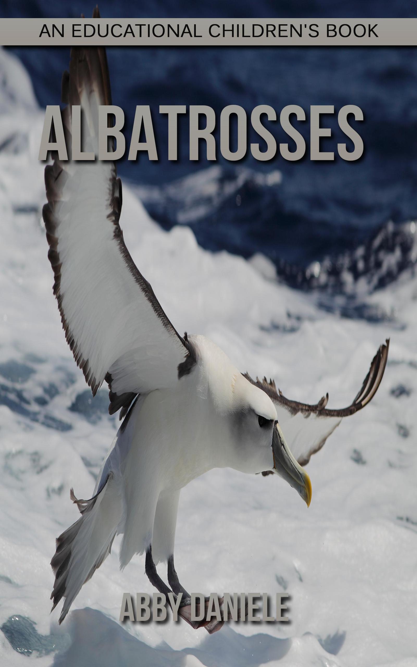 Smashwords – Albatrosses! An Educational Children's Book – a book by ...