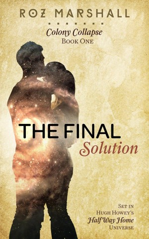 Smashwords – The Final Solution