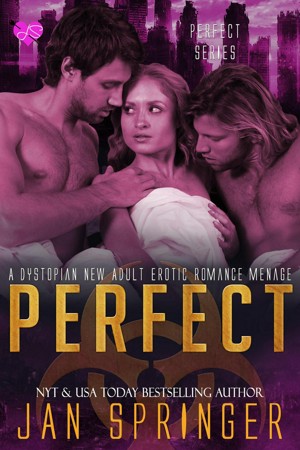 Smashwords – Perfect