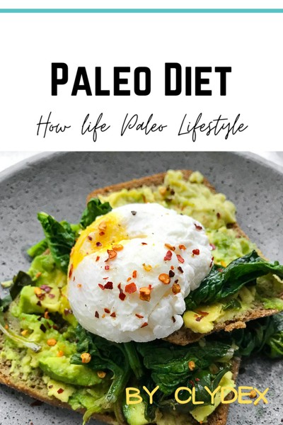Smashwords – Paleo Diet: How To Life The Paleo Lifestyle – a book by ...