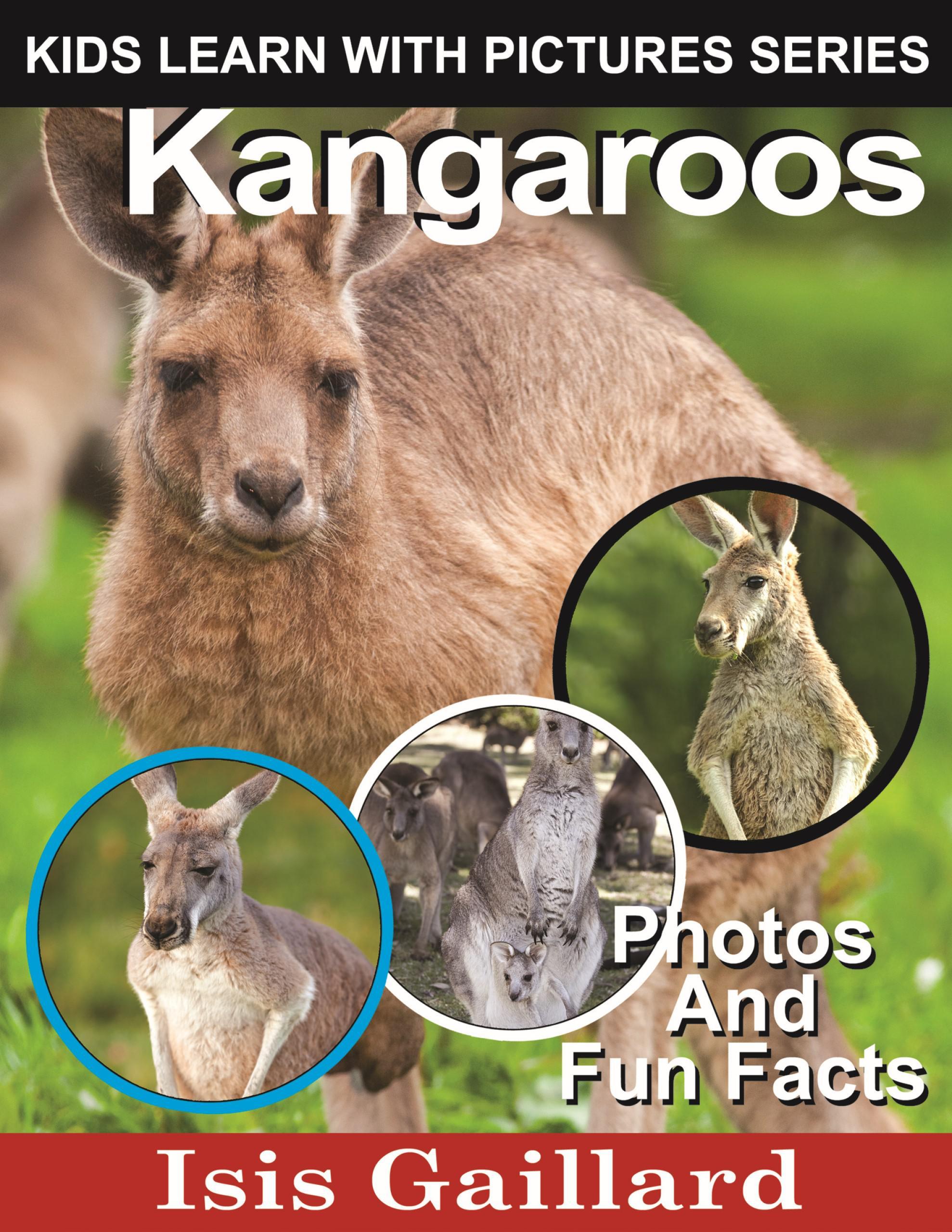 Smashwords – Kangaroos Photos and Fun Facts for Kids – a book by Isis ...