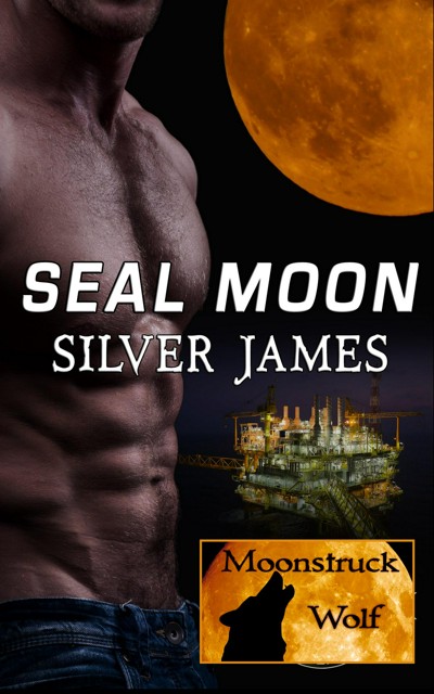 Smashwords – SEAL Moon – a book by Silver James