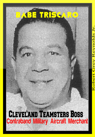 Smashwords – Babe Triscaro Cleveland Teamsters Boss Contraband Military Aircraft Merchant – a ...