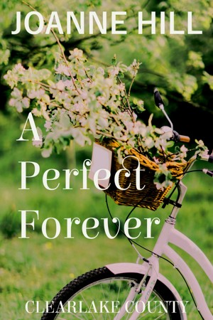 Smashwords – A Perfect Forever