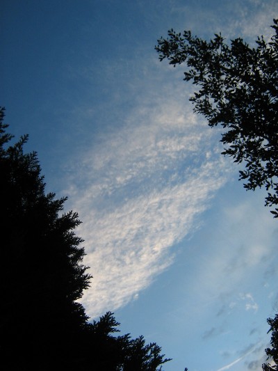 Smashwords – Long Walk Home – a book by David Wardrop