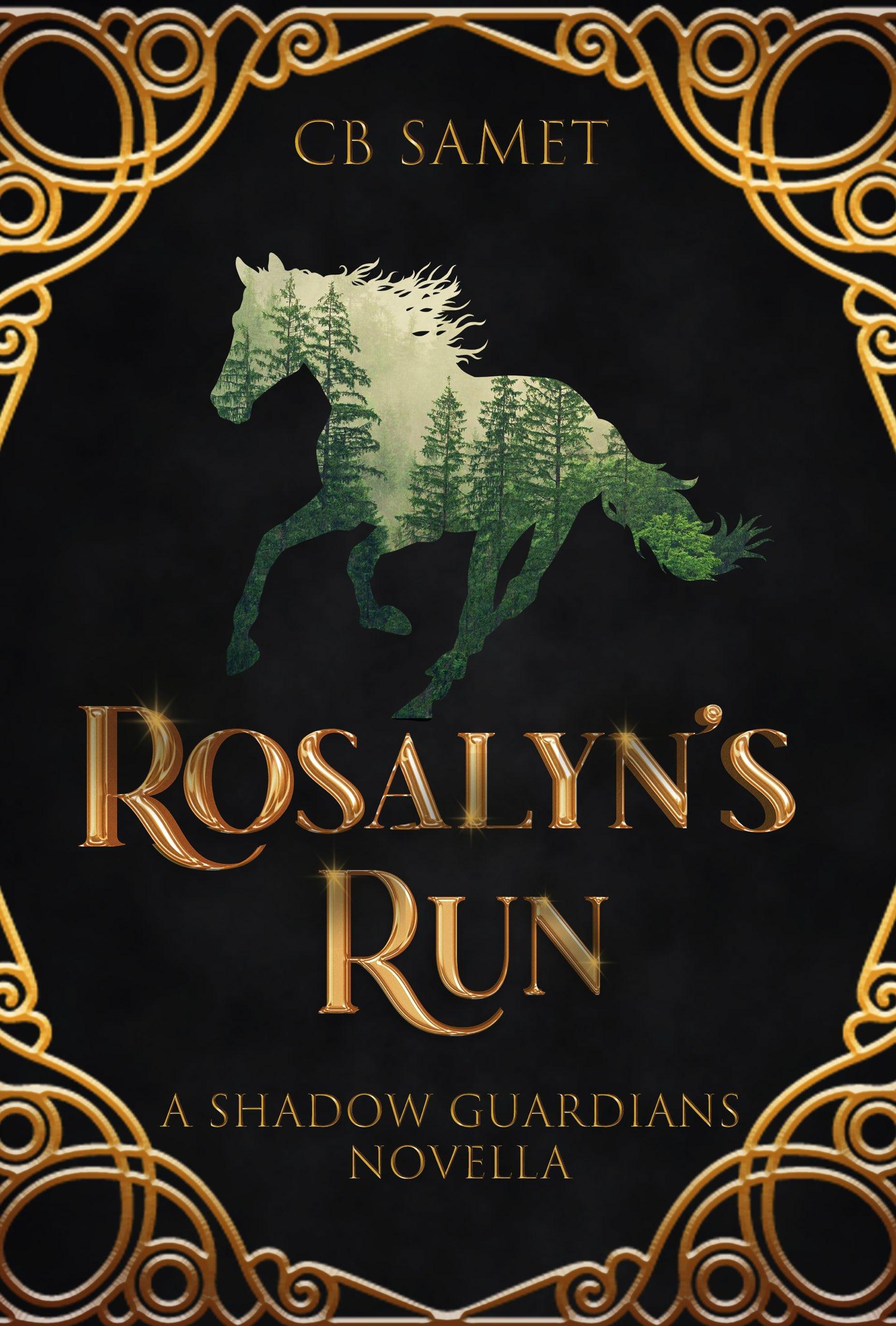 Smashwords – Rosalyn's Run – a book by CB Samet