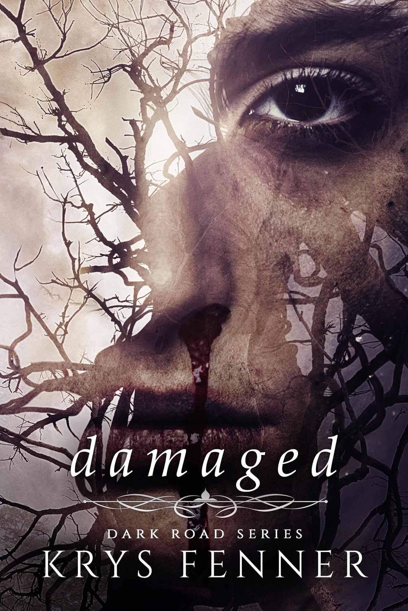 Smashwords – Damaged – a book by Krys Fenner