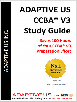 Smashwords – Mastering CCBA® Study Guide