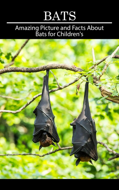 Smashwords – Bats: Amazing Picture and Facts About Bats for Children's ...
