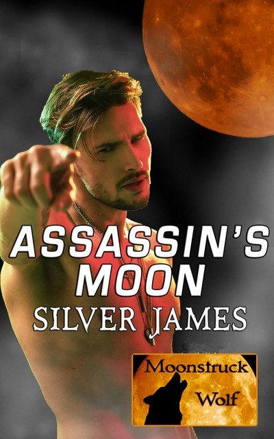 Smashwords – Assassin's Moon – a book by Silver James