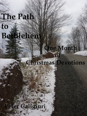 Smashwords – The Path to Bethlehem One Month of Christmas Devotions